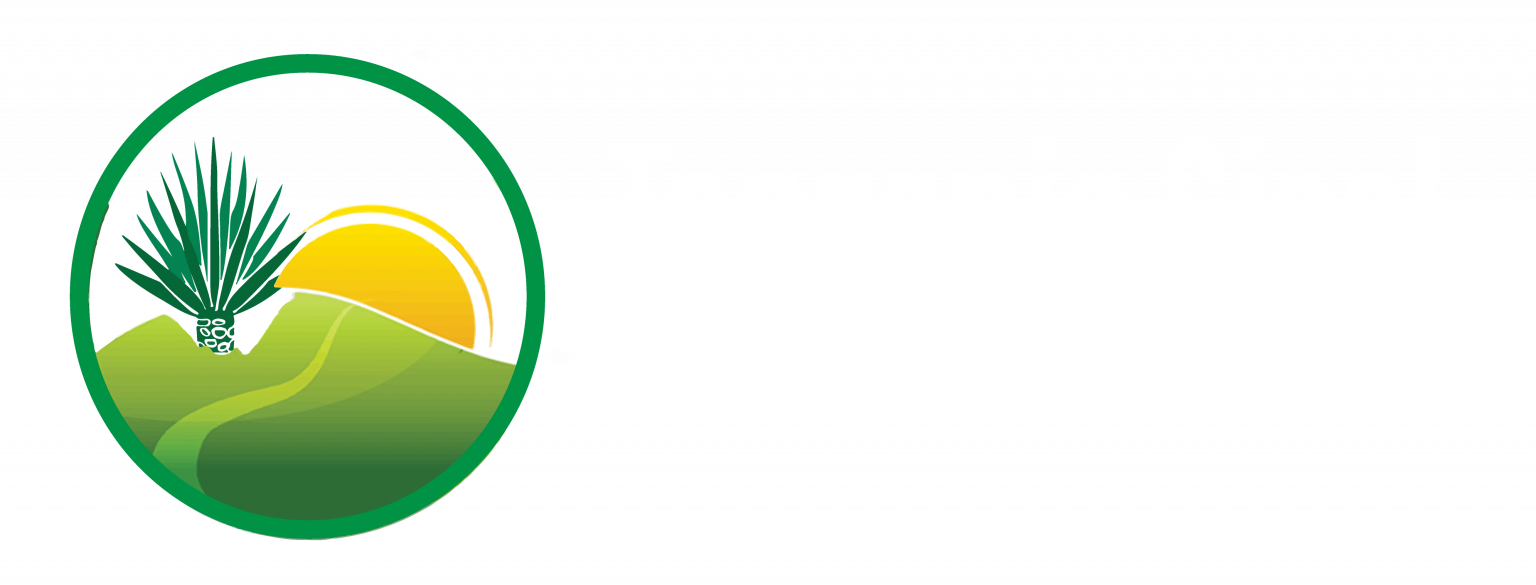 Tanzania Sisal | Premium Sisal Fiber Supplier & Exporter | Best Quality ...